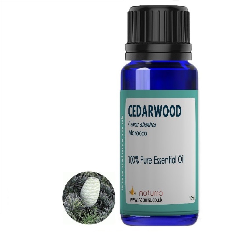 Cedarwood (Cedrus atlantica) - Naturra
