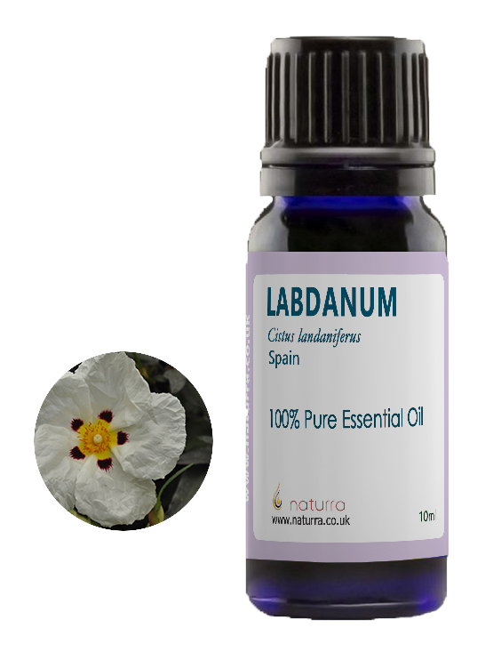 Labdanum (Cistus ladaniferis) Essential Oil | Naturra