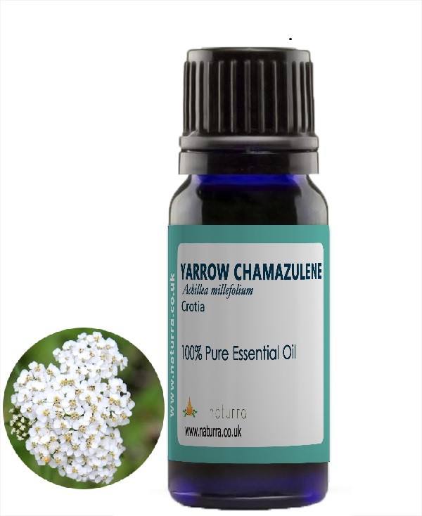 Yarrow Chamazulene Blue Essential Oil 5ml - Naturra