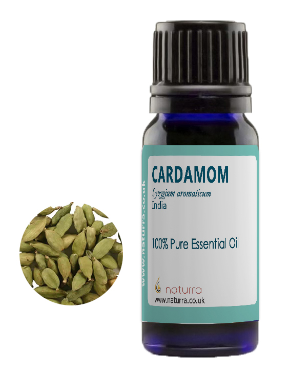Cardamom Essential Oil (Elettaria cardamomum) | Naturra